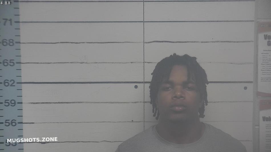 WILLIAMS SIDNEY MADISON 08/06/2021 - Desoto County Mugshots Zone