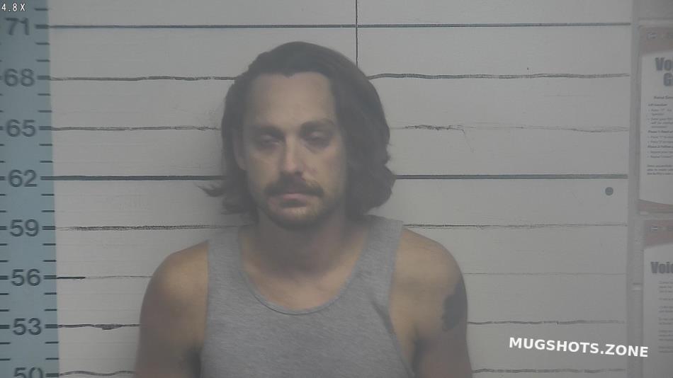 STEPHENS JACOB HAYDEN 08/20/2021 - Desoto County Mugshots Zone