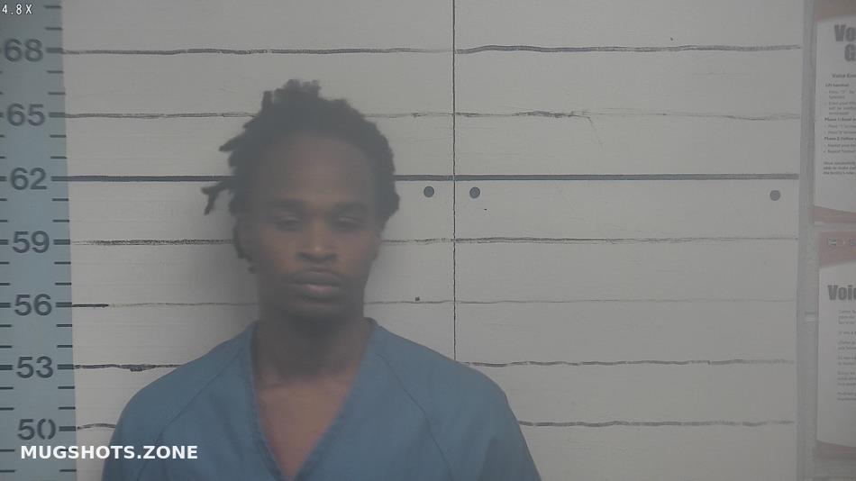 ALEXANDER TREMAINE 08/23/2021 - Desoto County Mugshots Zone