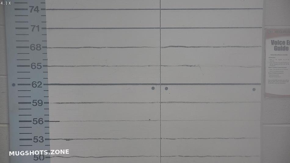 VEASLEY STEPHEN WILLIAM 01/22/2022 - Desoto County Mugshots Zone