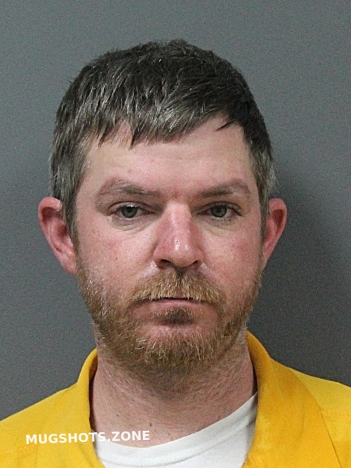 ANDERSON CHRISTOPHER MICHAEL 02/01/2022 - Desoto County Mugshots Zone