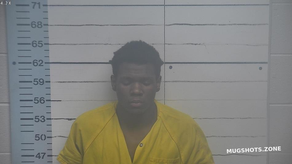 BENSON QUINCY 03/17/2022 - Desoto County Mugshots Zone
