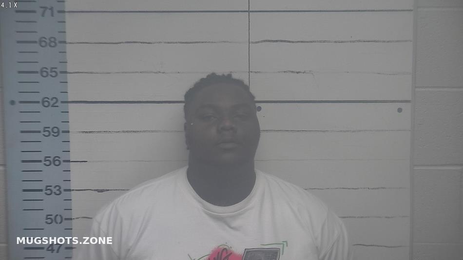 BRAXTON MARCEL LARON 04/18/2022 - Desoto County Mugshots Zone