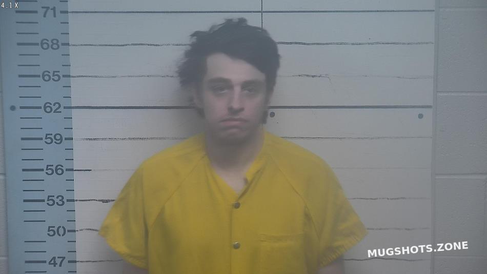 GEESLIN JACOB TYLER 04/23/2022 - Desoto County Mugshots Zone