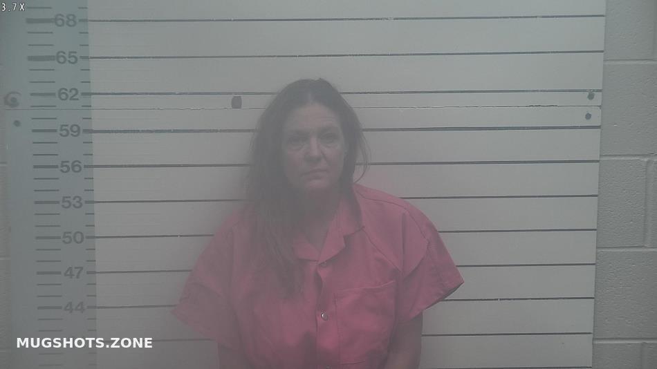 HOWELL WENDY RENEA 06/13/2022 - Desoto County Mugshots Zone