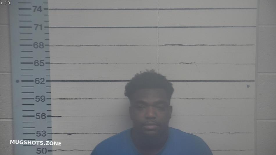 HAMPTON TREVORIS LANEAL 07/22/2022 - Desoto County Mugshots Zone