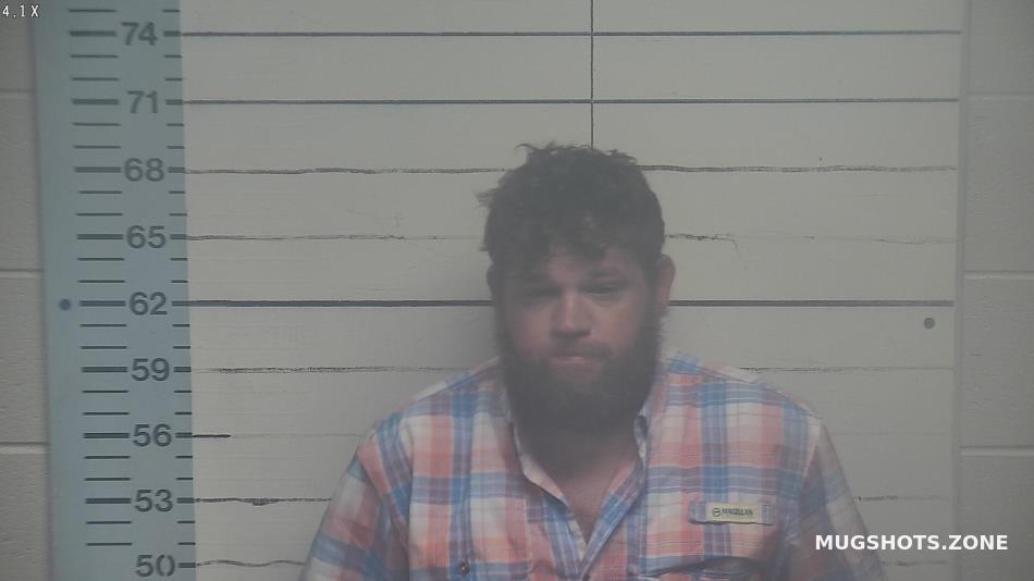 WILSON JOSHUA ADAM 07/22/2022 - Desoto County Mugshots Zone
