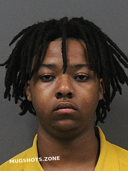 STRIBLING TIMOTHY TERIAL 07/24/2022 - Desoto County Mugshots Zone