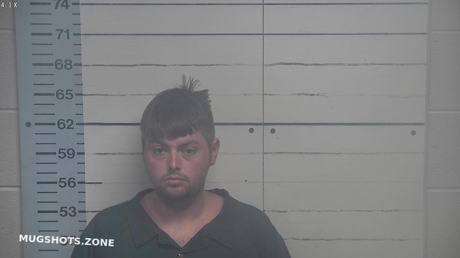 HALL COLTON TANNER 08/09/2022 - Desoto County Mugshots Zone