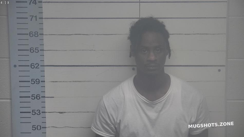 JONES JERMAL S 08/27/2022 - Desoto County Mugshots Zone