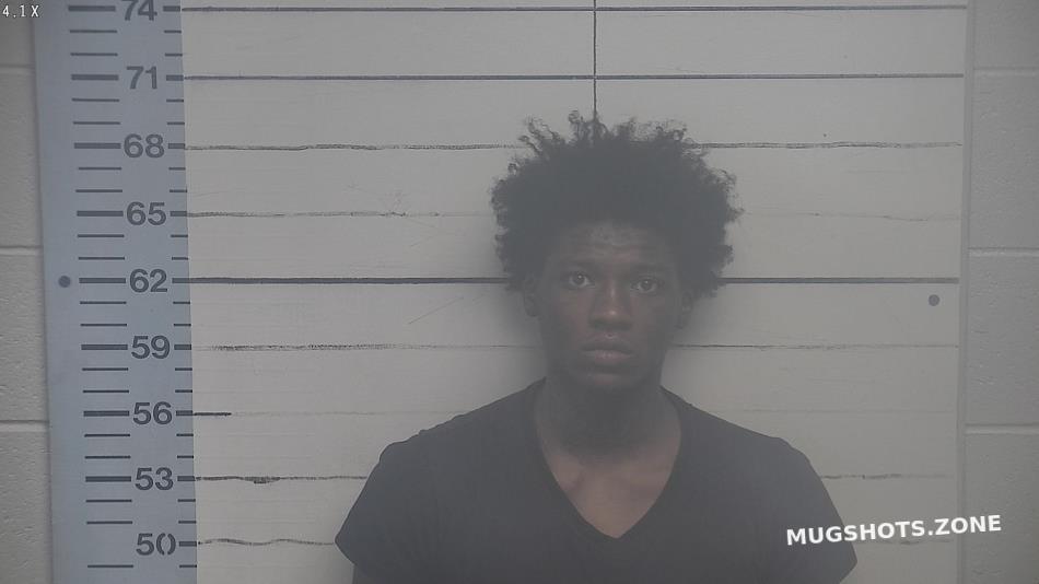MITCHELL KEYON LADERIUS 08/31/2022 - Desoto County Mugshots Zone