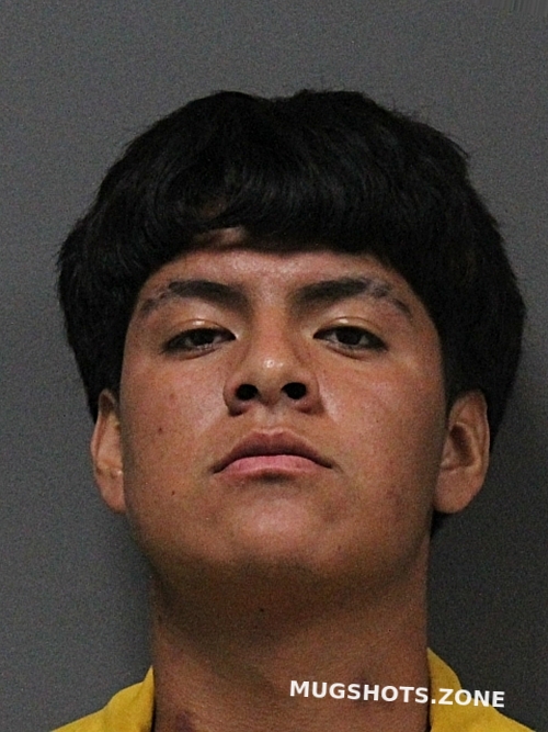 GRANADOS MOLINA ALEXIS 09/30/2022 - Desoto County Mugshots Zone