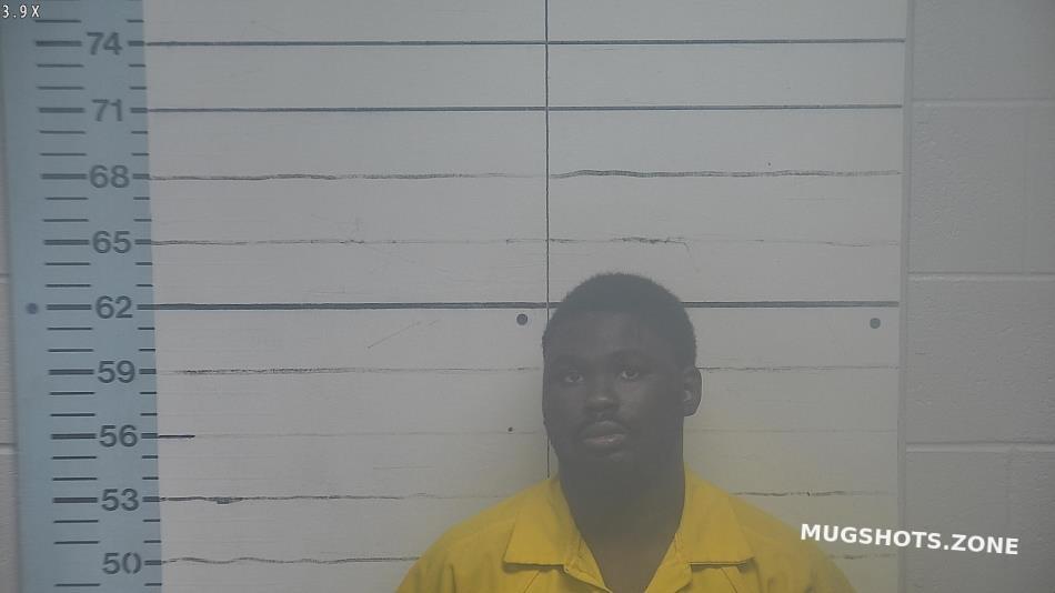 GREEN DEANGELO D 10/13/2022 - Desoto County Mugshots Zone