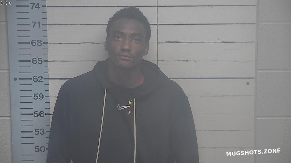 WILLIAMS CHRISTOPHER DEWAYNE 10/27/2022 - Desoto County Mugshots Zone