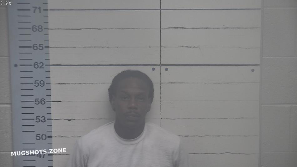 WELLS LAVONTRELL DEMARCUS 11/01/2022 - Desoto County Mugshots Zone