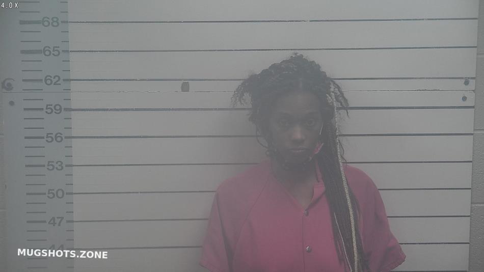 DOTSON CANDACE MONIQUE 11/14/2022 - Desoto County Mugshots Zone