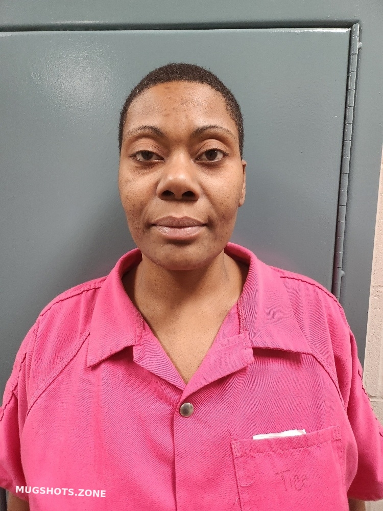 HOPSON QUIENTIEASHA 11/17/2022 - Desoto County Mugshots Zone HOPSON QUIENTIEASHA 11/17/2022 - Desoto County Mugshots Zone