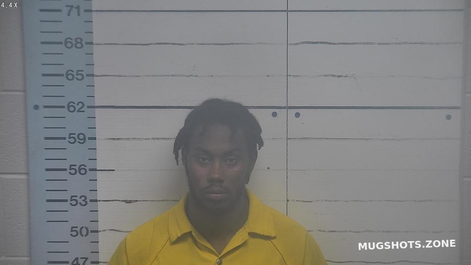 LEWIS TIMOTHY T 11/18/2022 - Desoto County Mugshots Zone