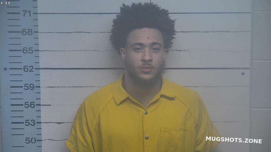 ISAAC JARRED L 11/22/2022 - Desoto County Mugshots Zone