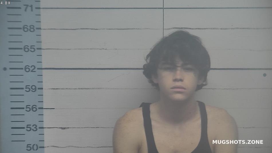 THOMPSON JARRETT MITCHELL 12/09/2022 - Desoto County Mugshots Zone