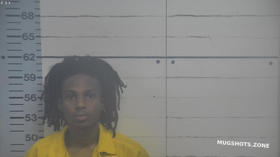 SAMPLE COURTNEY LANDON 12/13/2022 - Desoto County Mugshots Zone