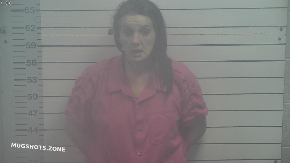 TIPPETT AMANDA LEANN 12/27/2022 - Desoto County Mugshots Zone