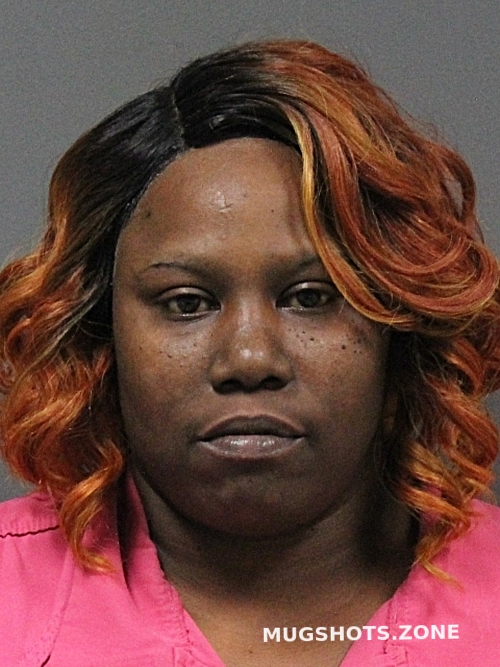 JONES KIMBERLY MICHELLE 12/28/2022 - Desoto County Mugshots Zone