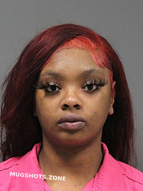 JAMES TIERRA DENISE 12/31/2022 - Desoto County Mugshots Zone JAMES TIERRA DENISE 12/31/2022 - Desoto County Mugshots Zone