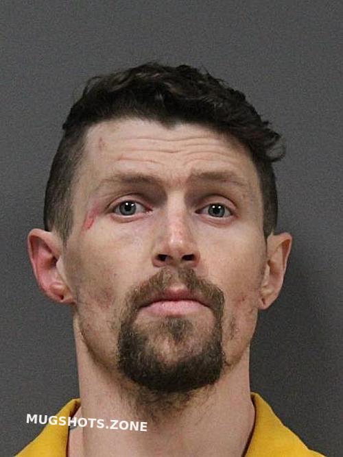 COOK BRIAN SHANE 02/03/2023 - Desoto County Mugshots Zone