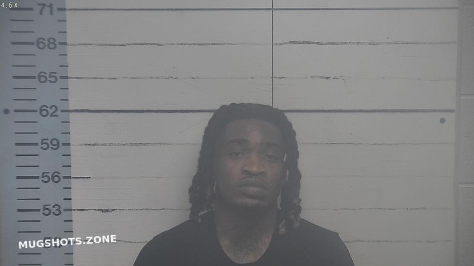 ROBINSON TEVIN BERNARD 02/19/2023 - Desoto County Mugshots Zone