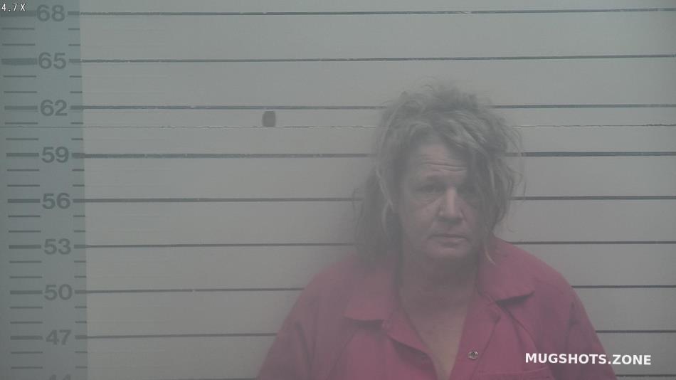 PEACOCK AMY RENEE 02/21/2023 - Desoto County Mugshots Zone