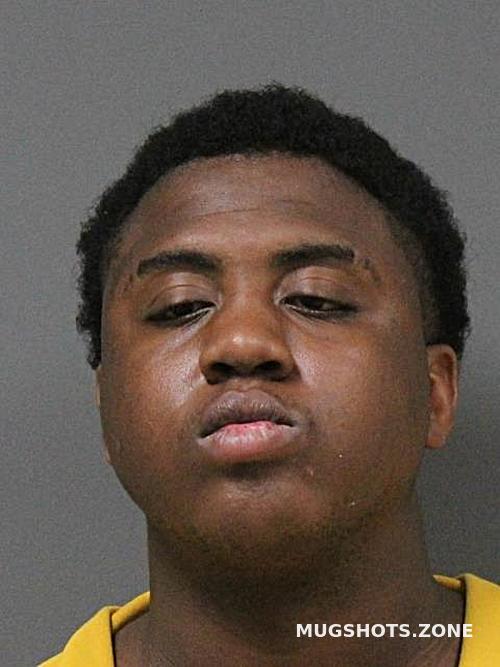 HAYES ZYTERRIOUS DEWON 03/06/2023 - Desoto County Mugshots Zone