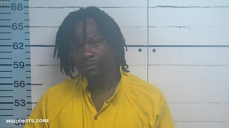 LEWIS BRANT LEON 03/11/2023 - Desoto County Mugshots Zone