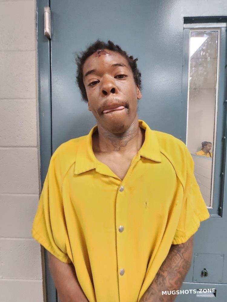 BOLDEN ANDREW KALLUM 03/27/2023 - Desoto County Mugshots Zone