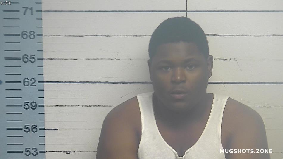 CARTER TERRANCE TE'KWAN 04/13/2023 - Desoto County Mugshots Zone