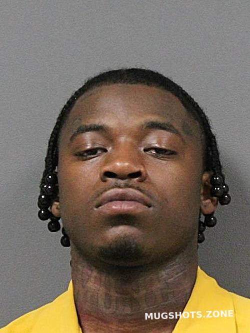 Williams Demarco Jarrell 04 20 2023 Desoto County Mugshots Zone