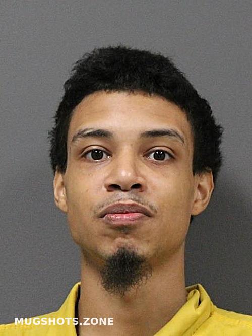 WITTE SEAN MAURICE 07/15/2023 - Desoto County Mugshots Zone