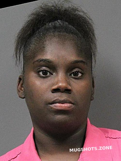 LEE MICHELLE MONIQUE 08/11/2023 - Desoto County Mugshots Zone