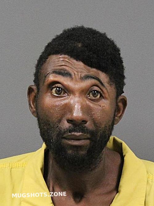 BROWN CARL RENEA 08/14/2023 - Desoto County Mugshots Zone