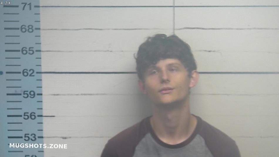 FREEMAN CHRISTIAN N 08/25/2023 - Desoto County Mugshots Zone