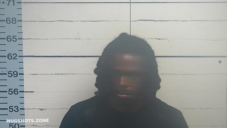 DAVIS ISAIAH WILLIAM 08/27/2023 - Desoto County Mugshots Zone