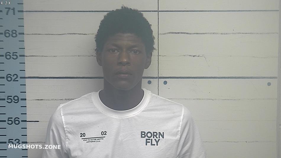 ROWSEY DAVID C 09/22/2023 - Desoto County Mugshots Zone