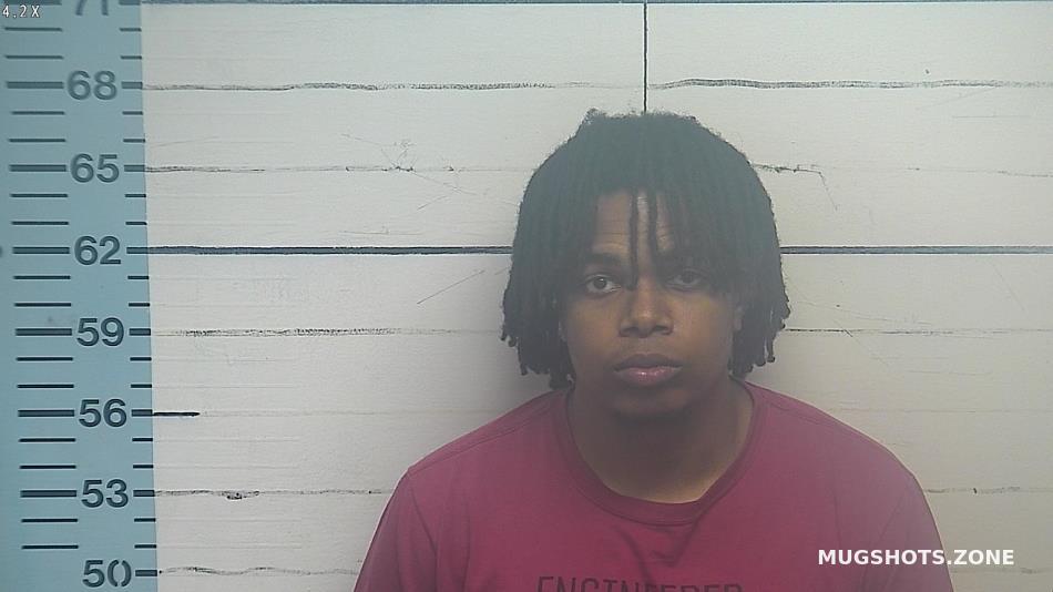 WILLIAMS SIDNEY MADISON 10/08/2023 - Desoto County Mugshots Zone