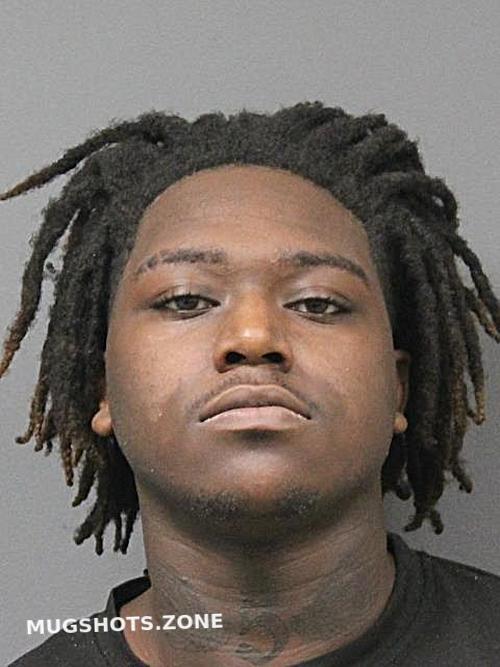 WILLIAMS THADIAS JAHEEM 10/14/2023 - Desoto County Mugshots Zone