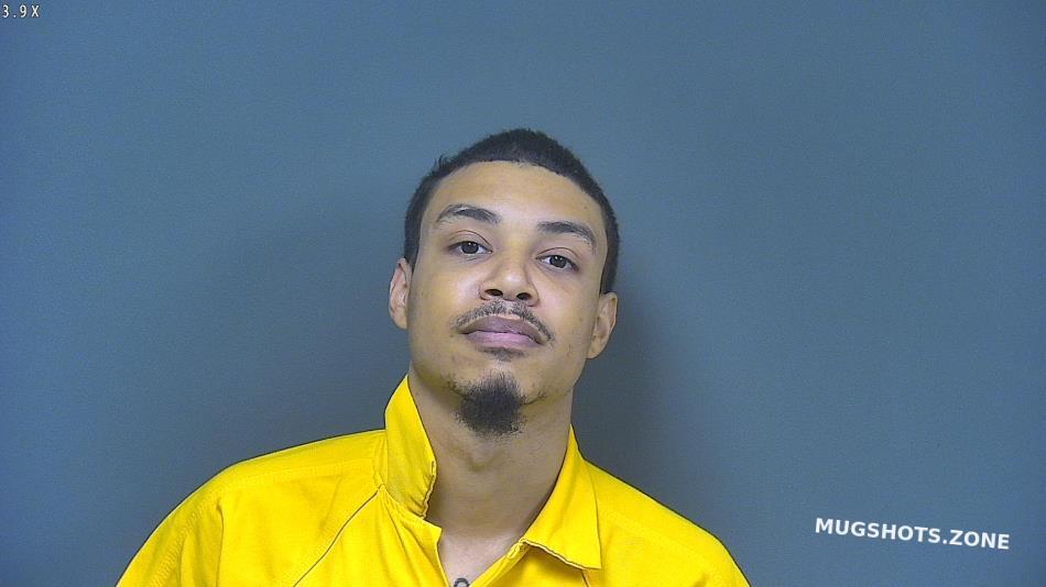 WITTE SEAN MAURICE 10/31/2023 - Desoto County Mugshots Zone