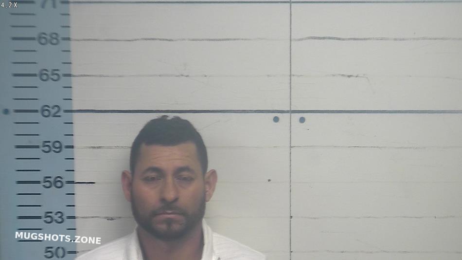 GARFIAS JOSE LUIS 11/01/2023 - Desoto County Mugshots Zone