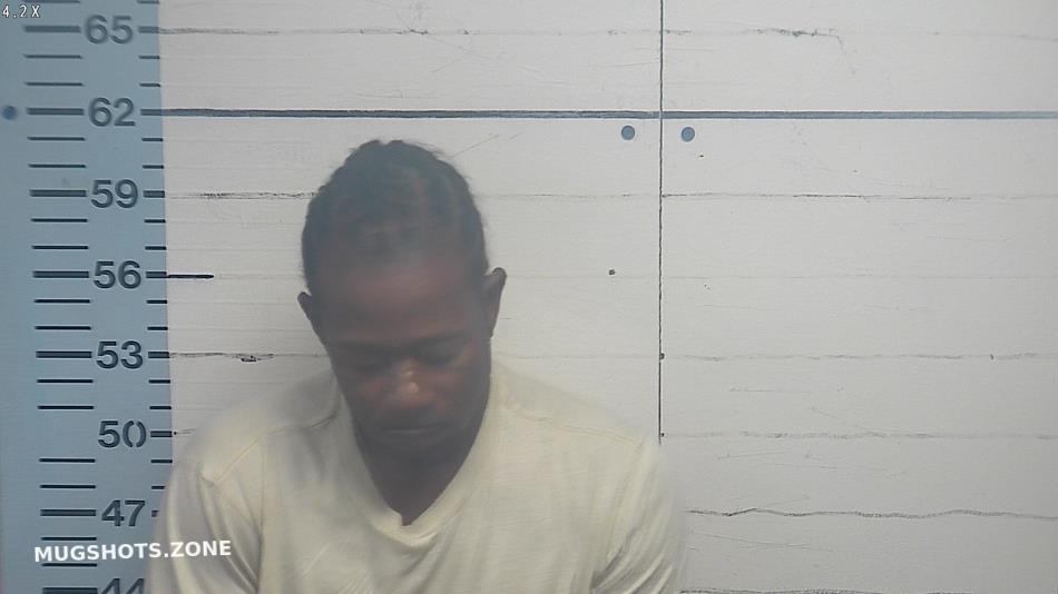 LEWIS DARRELL 11/19/2023 - Desoto County Mugshots Zone