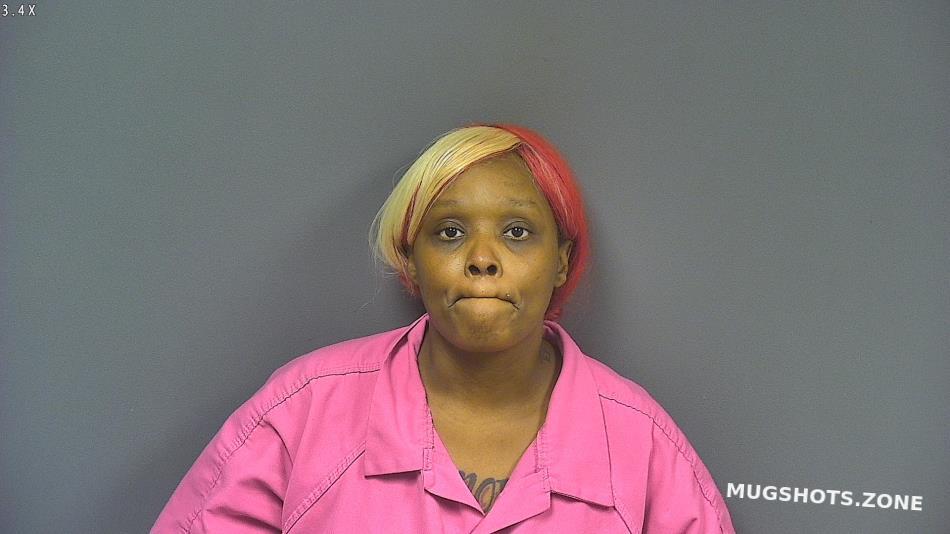 WILLIAMS MARGARET TAWANDA 11/21/2023 - Desoto County Mugshots Zone