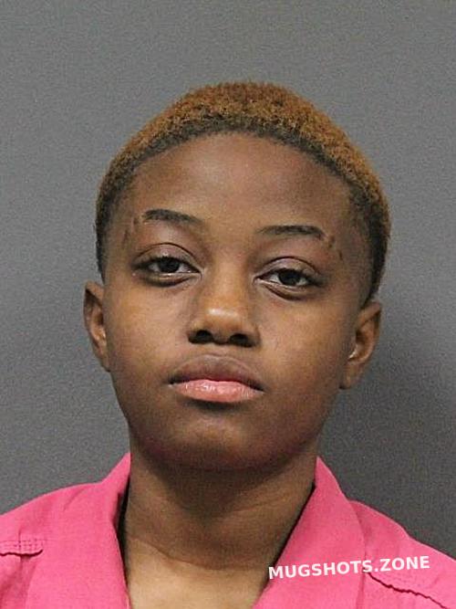 ANDERSON TRAVIONNA SHYTERIA 11/23/2023 - Desoto County Mugshots Zone