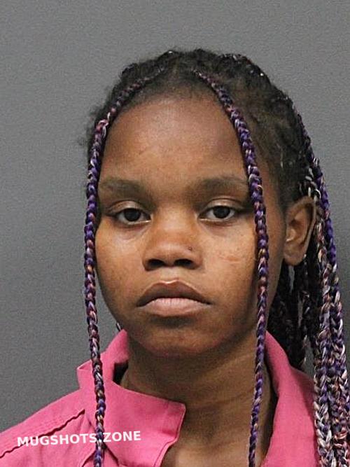 WILLIAMS LAKEISHA SHERRELL 12/03/2023 - Desoto County Mugshots Zone